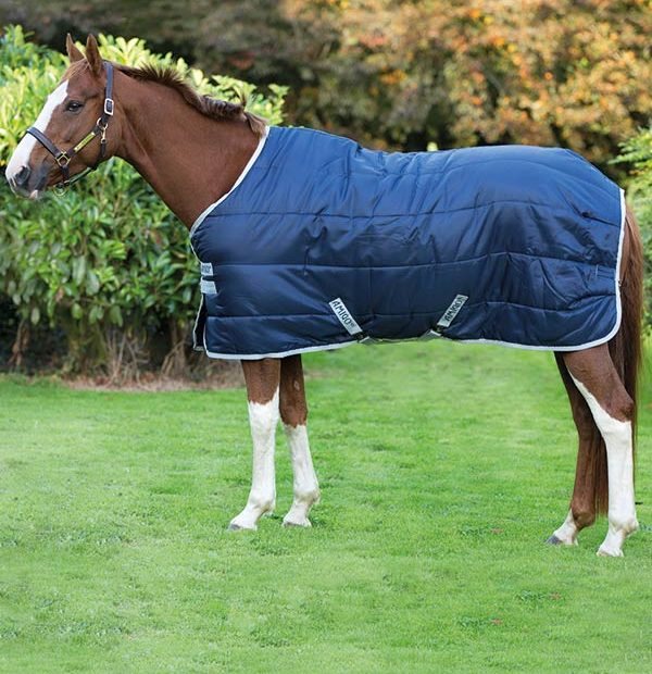 Amigo Insulator Stable Medium Rug - Unicorn Saddlery