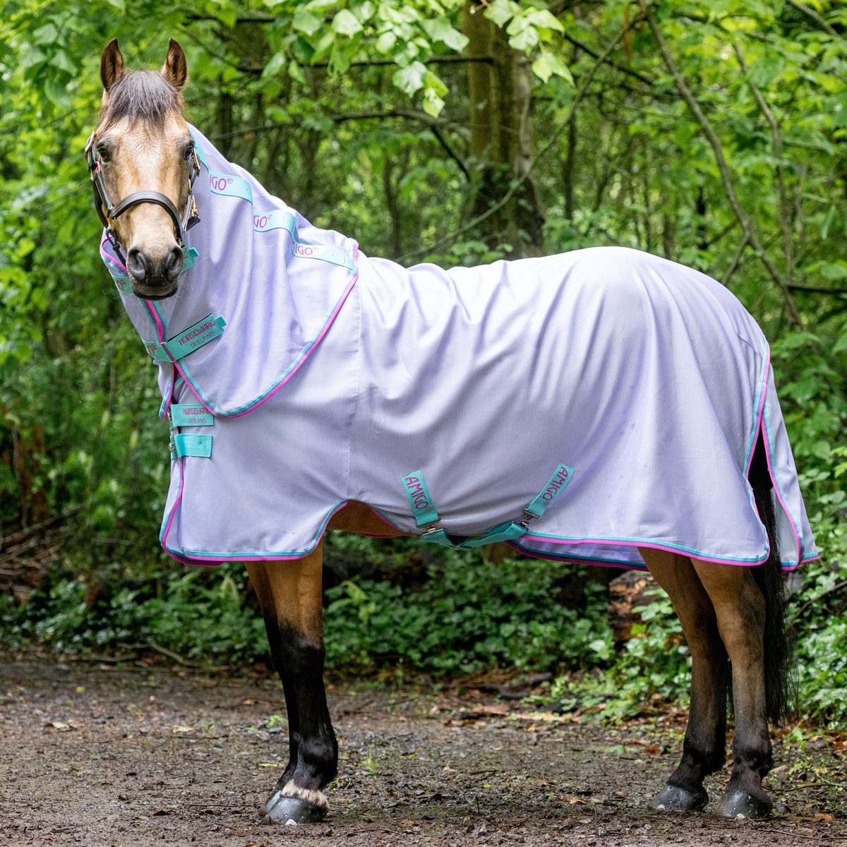 Amigo Bug Rug Pony - Fly Rugs & Sheets - Unicorn Saddlery