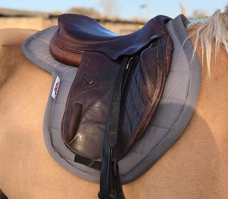 PolyPads Forma PlusOne | Unicorn Saddlery - Unicorn Saddlery