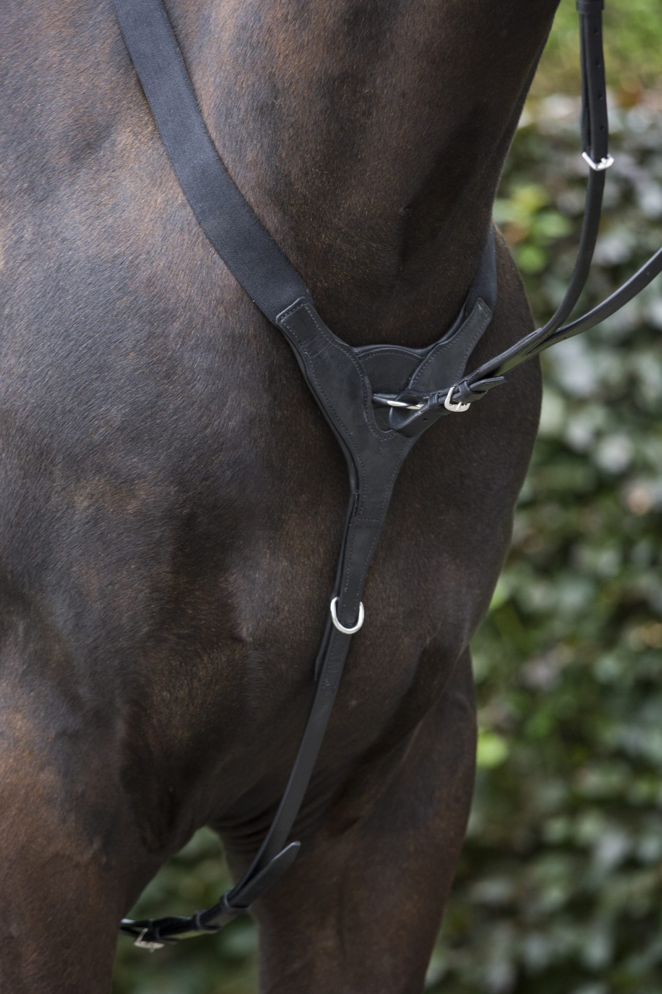 Cameo Equine Performance Breastplate - Martingales & Breastplates ...