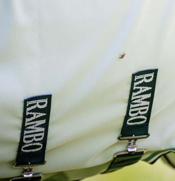 Rambo Hoody - Fly Rugs & Sheets - Unicorn Saddlery