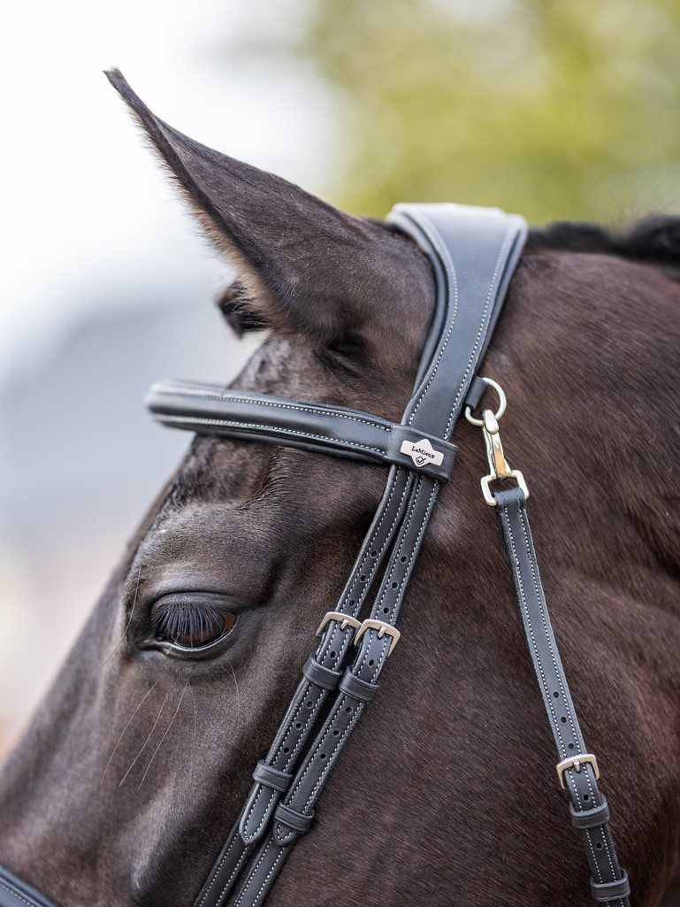LeMieux Work Bridle - Bridles - Unicorn Saddlery