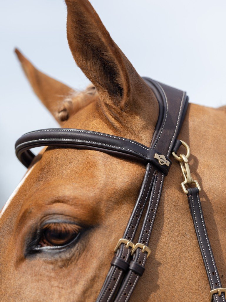 LeMieux Work Bridle - Bridles - Unicorn Saddlery