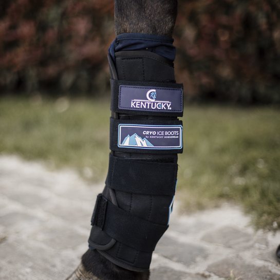 Kentucky Cryo Ice Boots - Therapy - Unicorn Saddlery