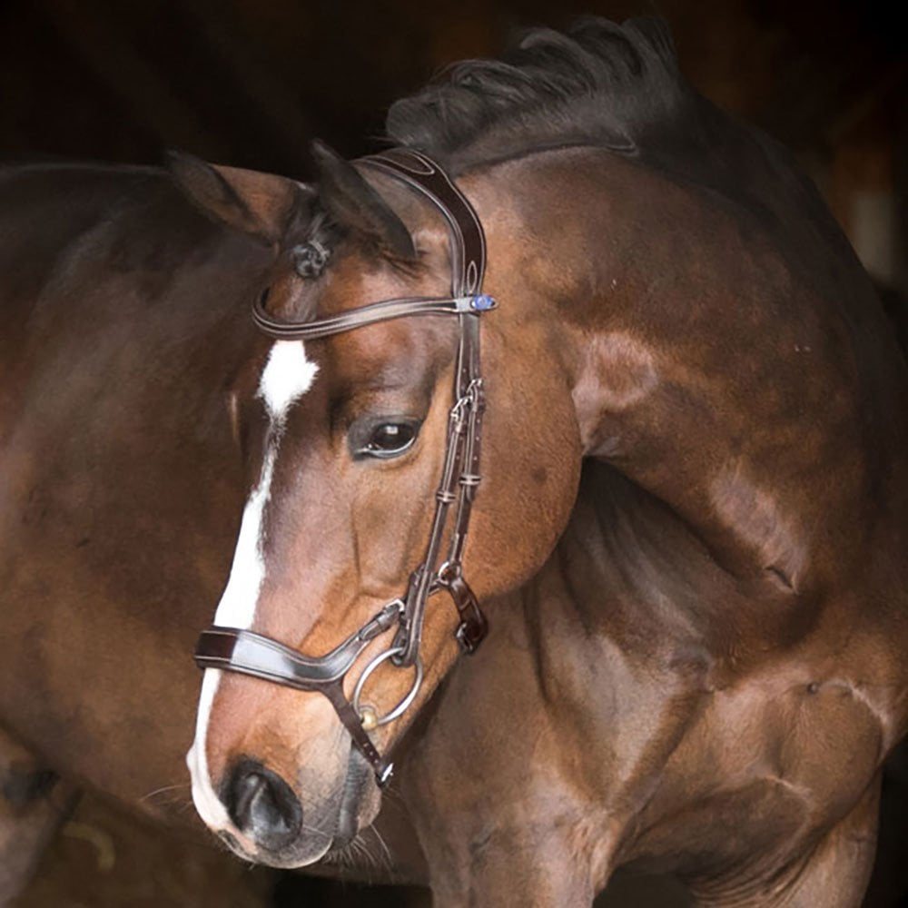 PS of Sweden Pioneer Bridle - Bridles - Unicorn Saddlery