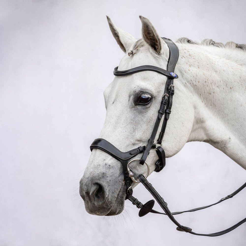 PS of Sweden Pioneer Bridle - Bridles - Unicorn Saddlery