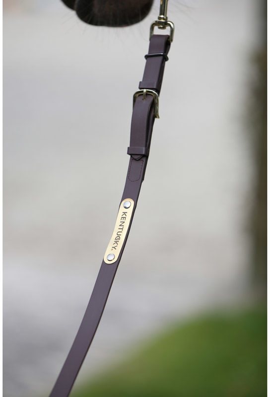 Kentucky Presentation Lead Rein - Lead Ropes - Unicorn Saddlery