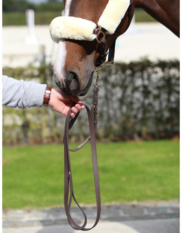 Kentucky Presentation Lead Rein - Lead Ropes - Unicorn Saddlery