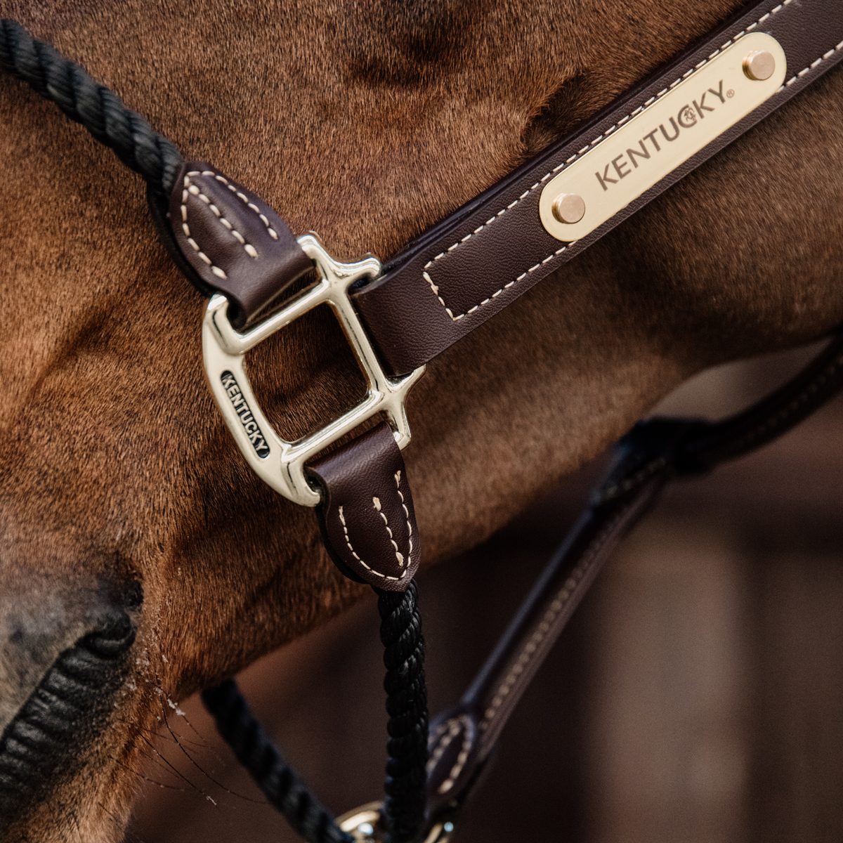 Kentucky Leather Rope Halter - Head Collars - Unicorn Saddlery