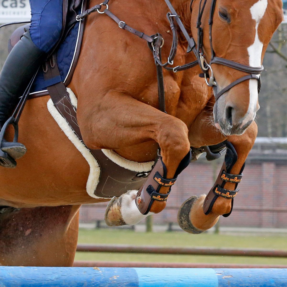 Kentucky Sheepskin Stud Girth - Girths - Unicorn Saddlery