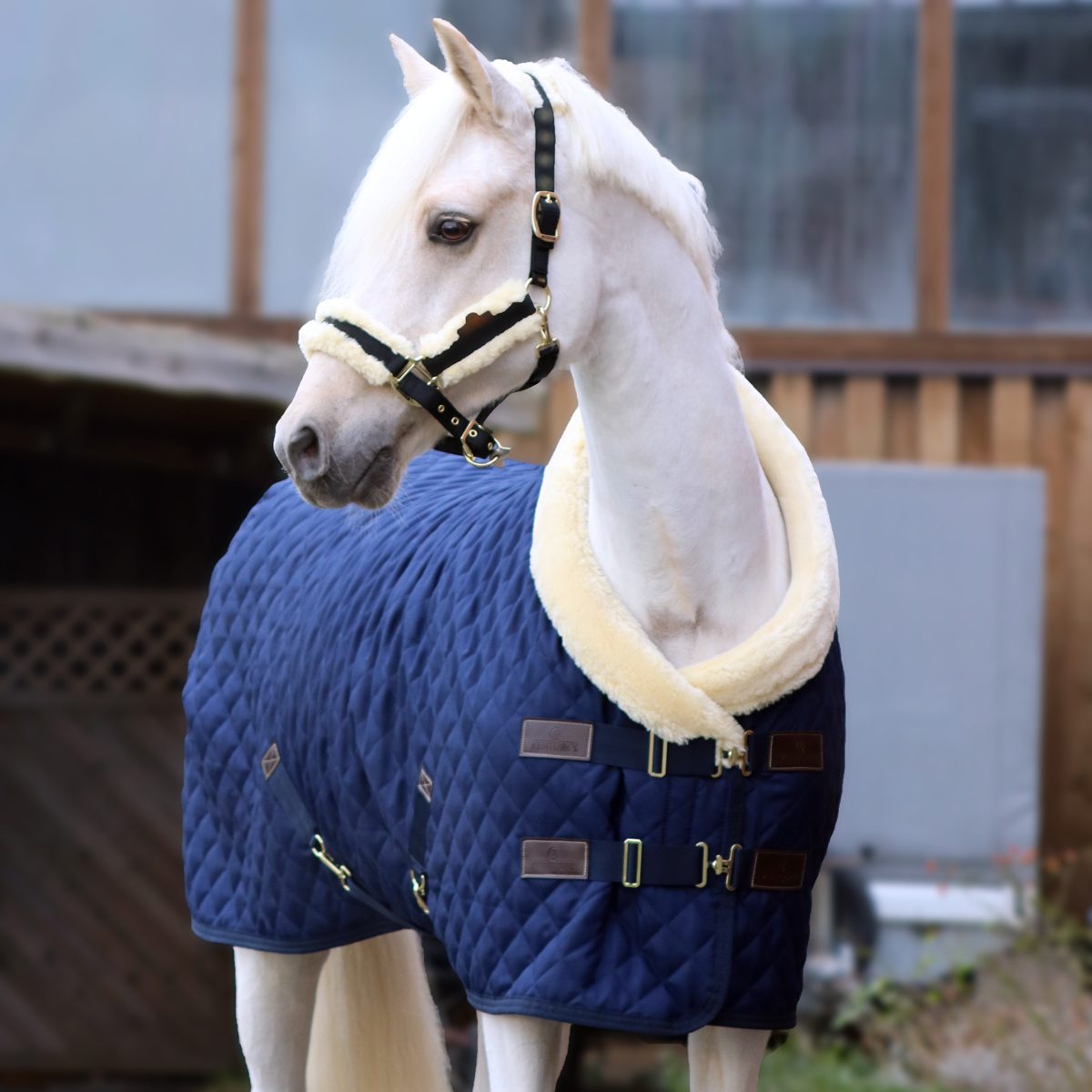 Kentucky Show Rug - 160g - Fleeces & Coolers - Unicorn Saddlery