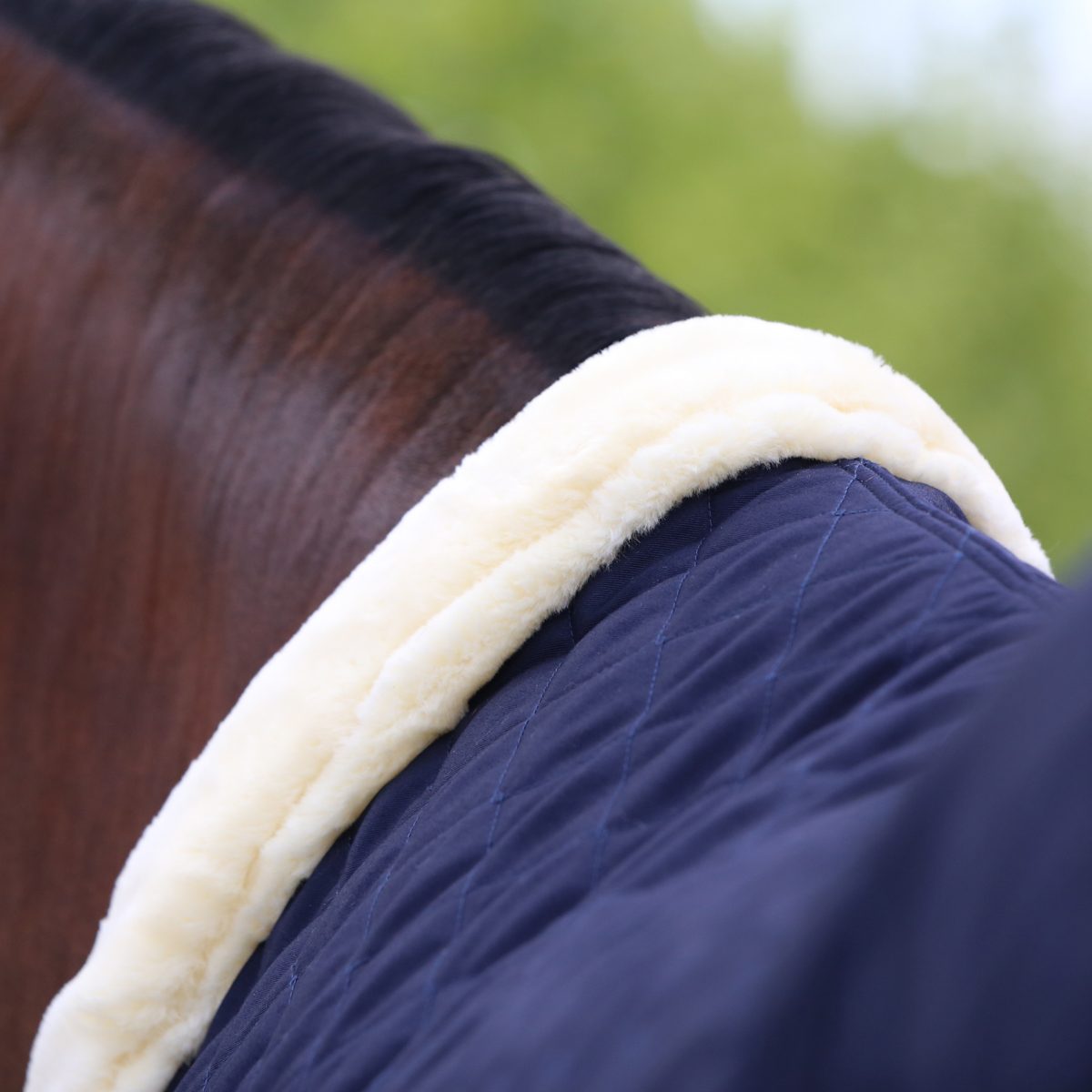 Kentucky Show Rug - 160g - Fleeces & Coolers - Unicorn Saddlery