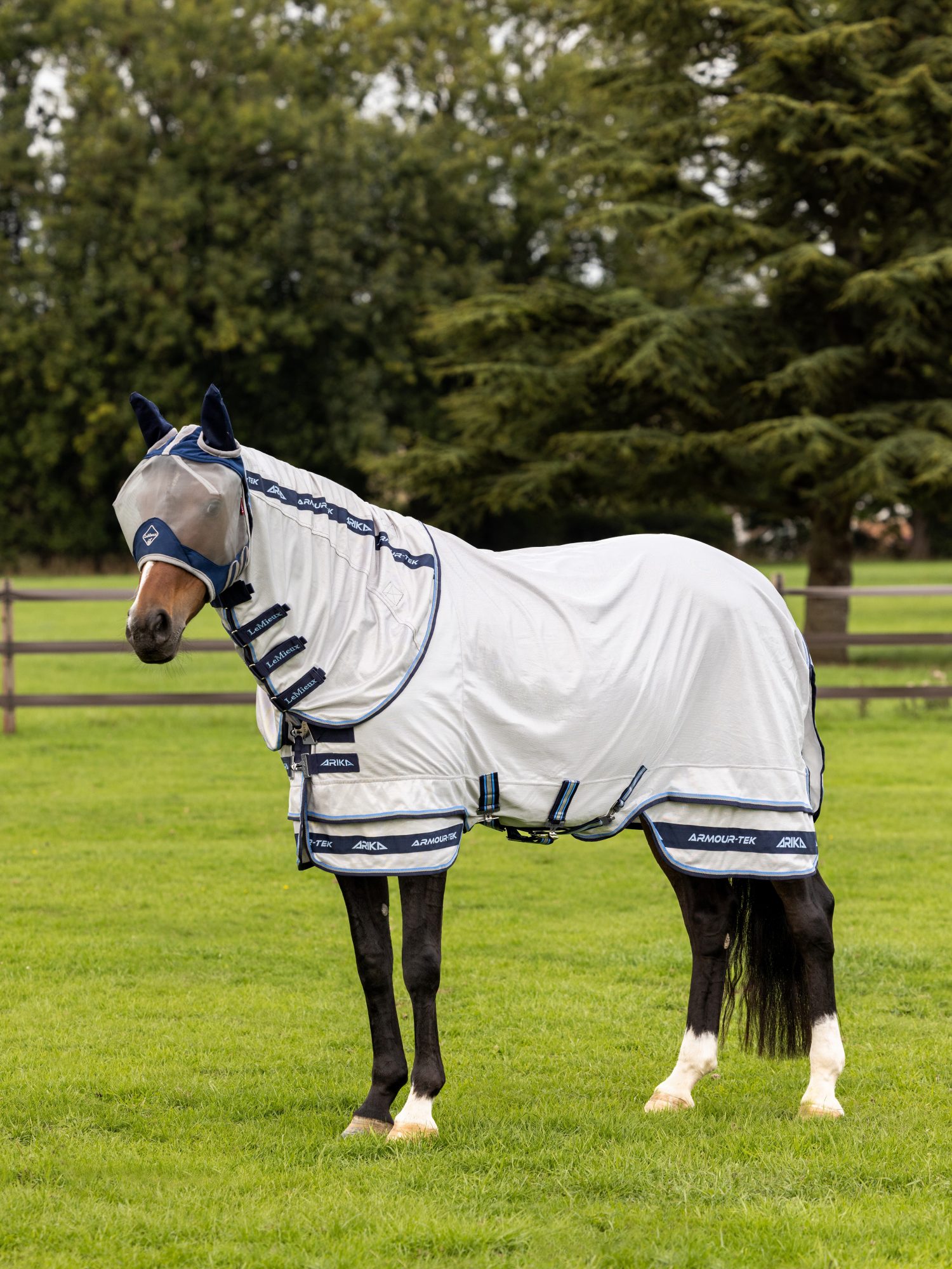 LeMieux Arika Armour-Tek Fly Rug - Fly Rugs & Sheets - Unicorn Saddlery