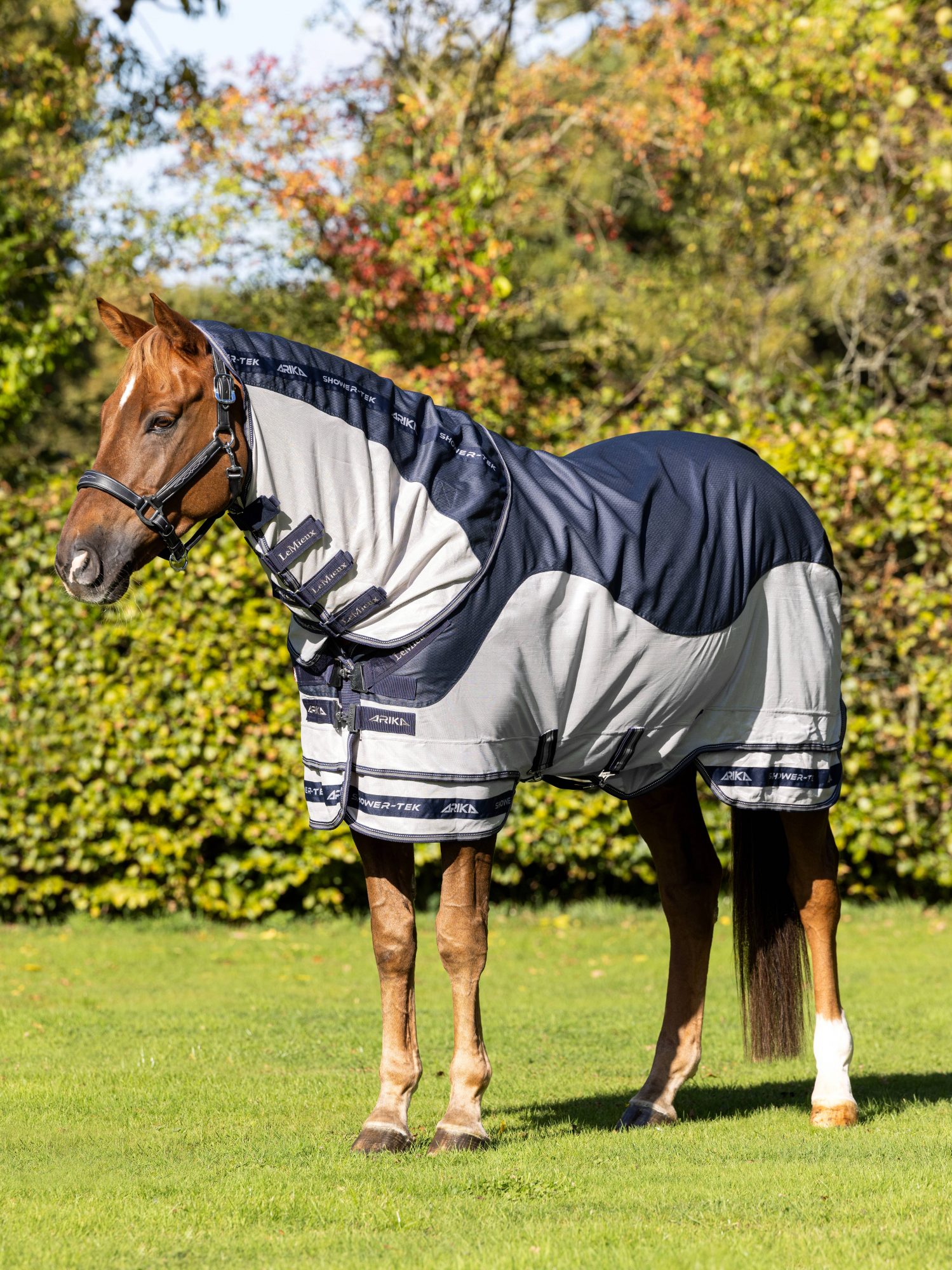 LeMieux Arika Shower-Tek Fly Rug - Fly Rugs & Sheets - Unicorn Saddlery