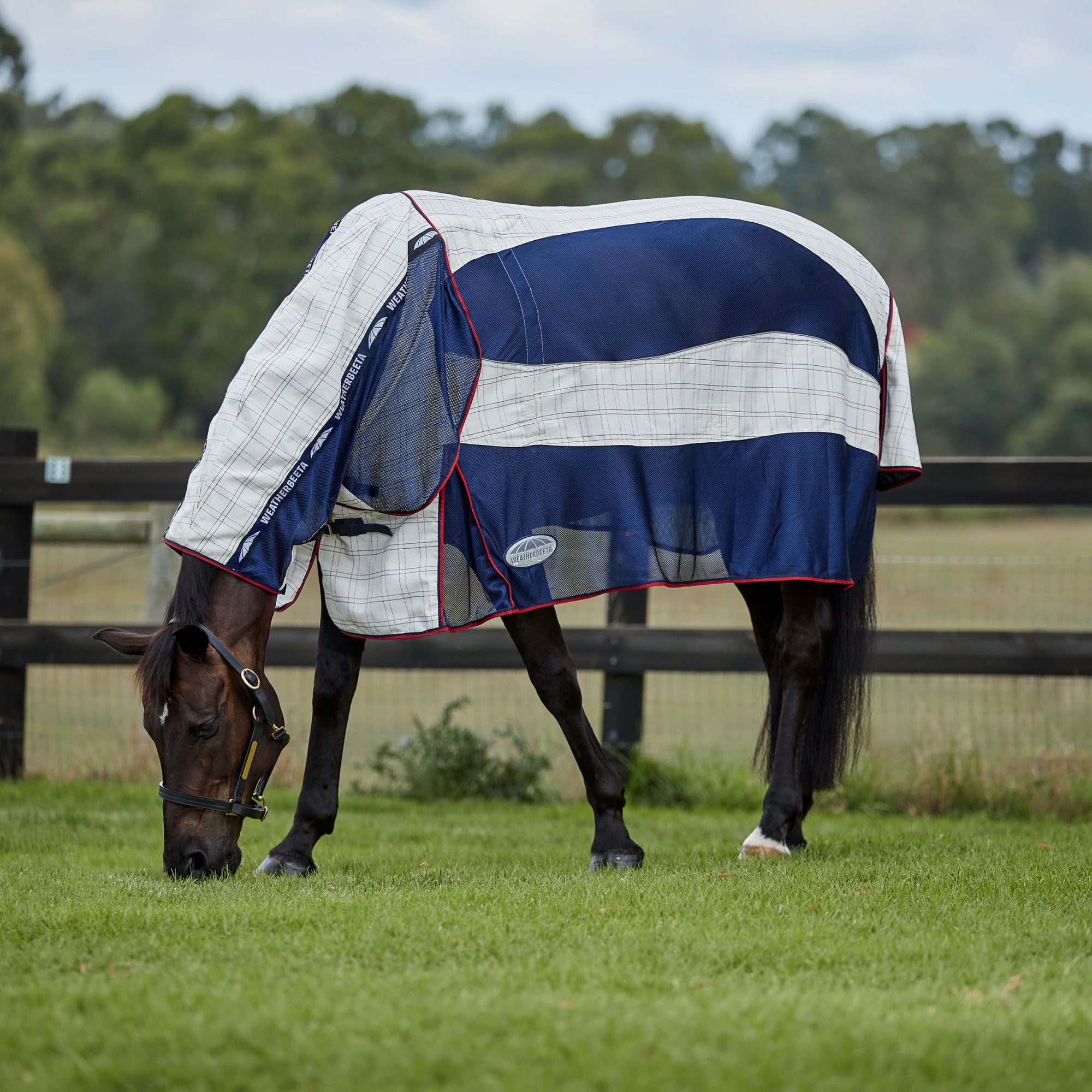 Weatherbeeta Breeze IV Combo Neck - Fly Rugs & Sheets - Unicorn Saddlery