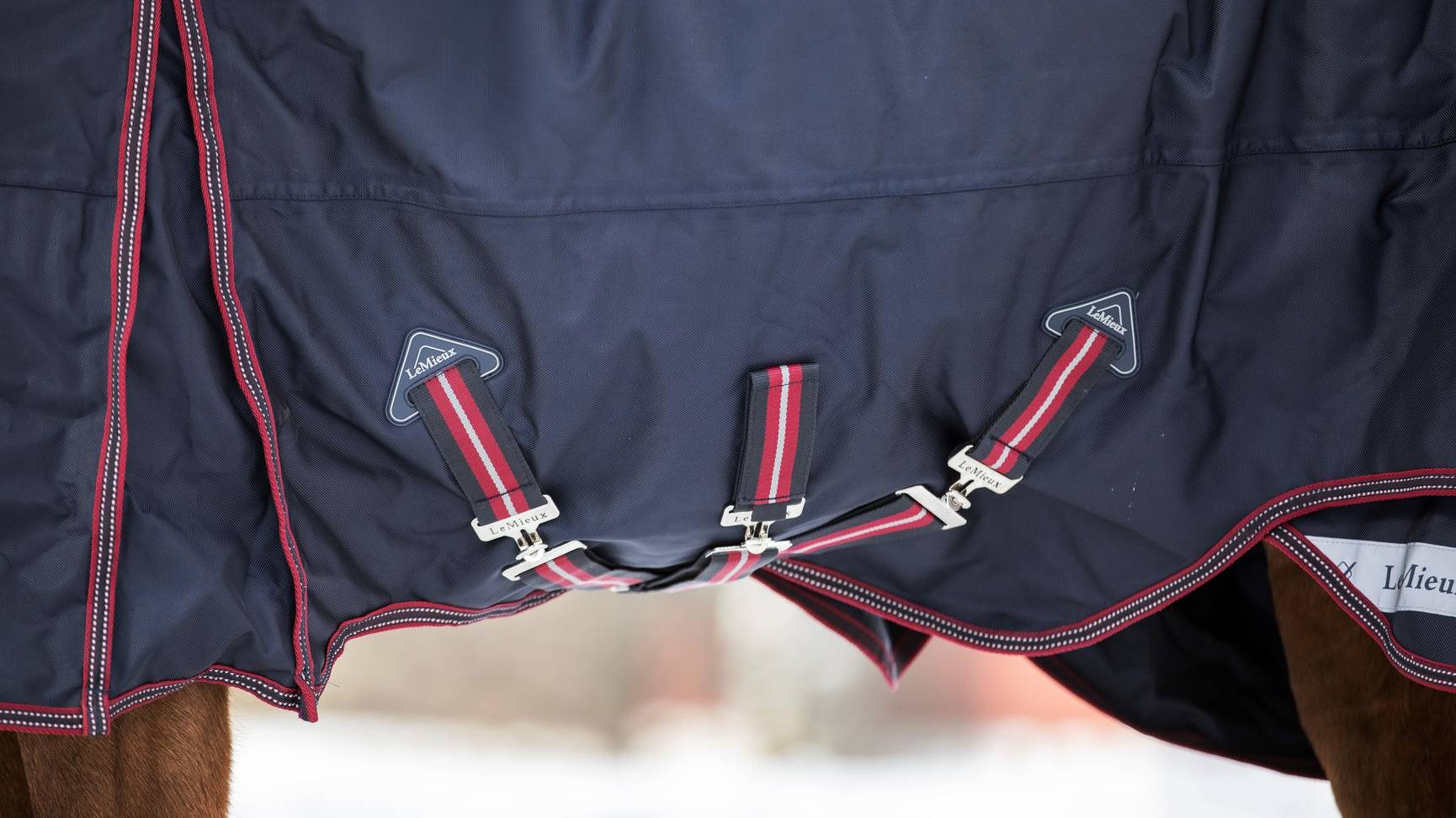 LeMieux Kudos Turnout Rug - 200g - Turnout Rugs - Unicorn Saddlery