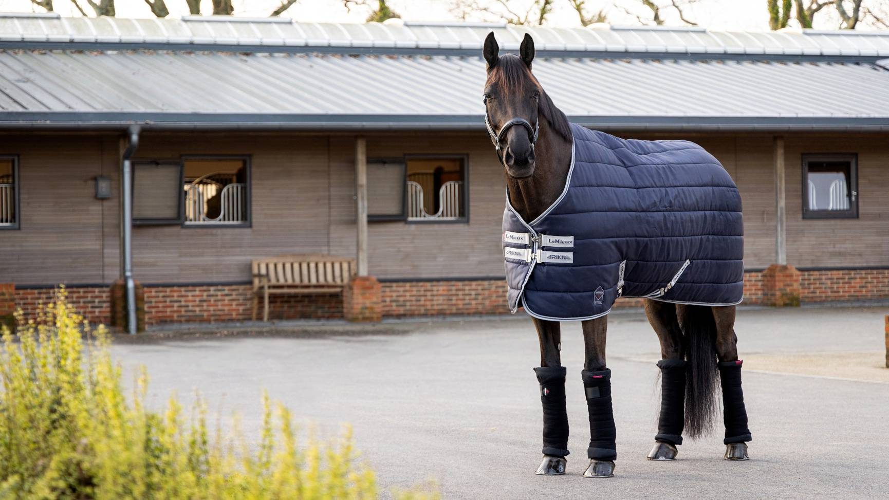 LeMieux Arika Stable-Tek - 200g - Stable Rugs - Unicorn Saddlery