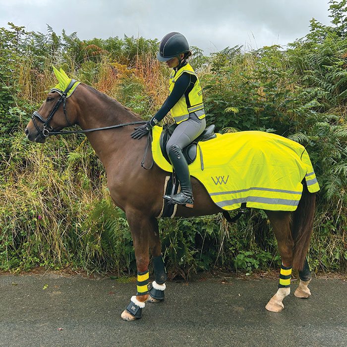 Woof Wear Hi Vis Exercise Sheet - Reflective Horse Wear - Unicorn Saddlery