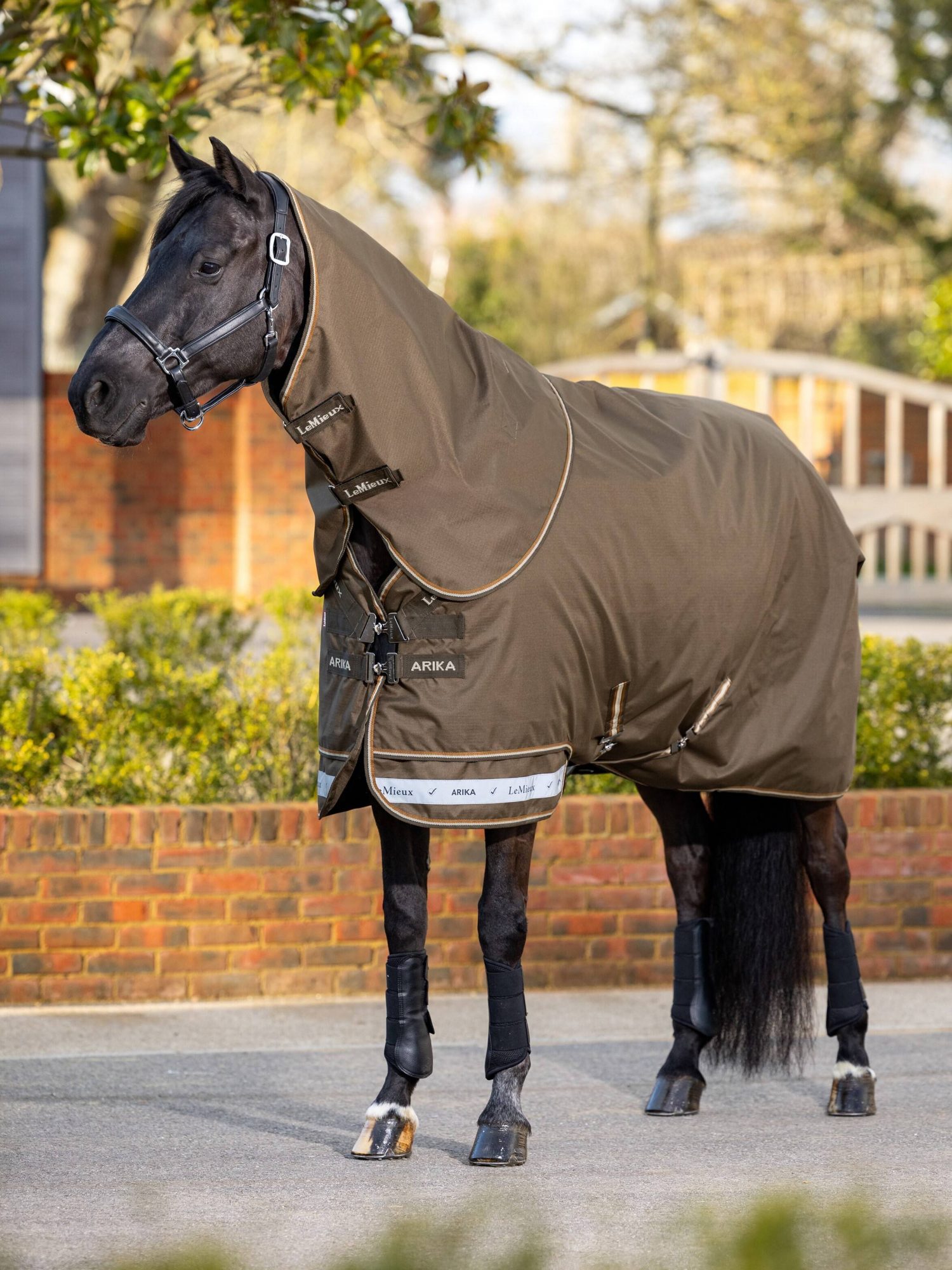 LeMieux Arika Ripstop 0g - Alpine - Turnout Rugs - Unicorn Saddlery