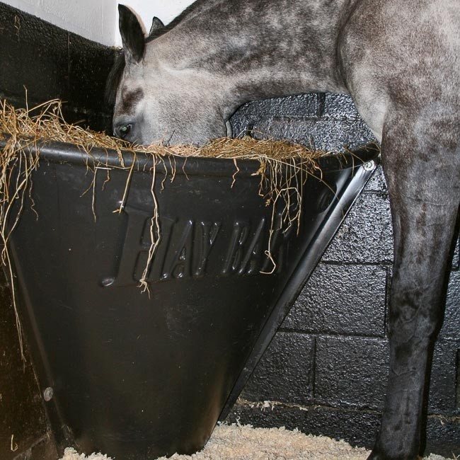 Haybar Stable Hay Feeder - Unicorn Saddlery