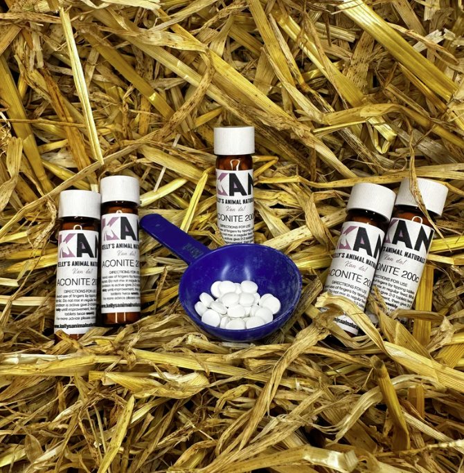 Natraliving Horse Aconite Tablets - Unicorn Saddlery